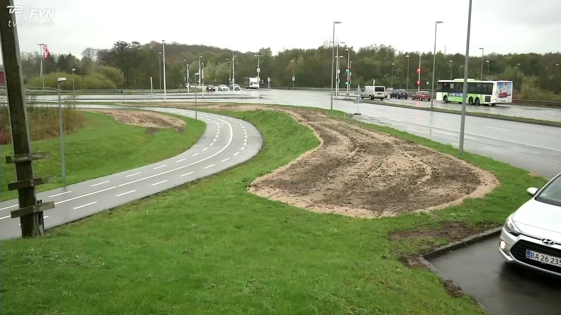 Vilde blomster skal få flere insekter til Odense | TV 2 Fyn Vilde blomster skal få flere insekter til Odense | TV 2 Fyn